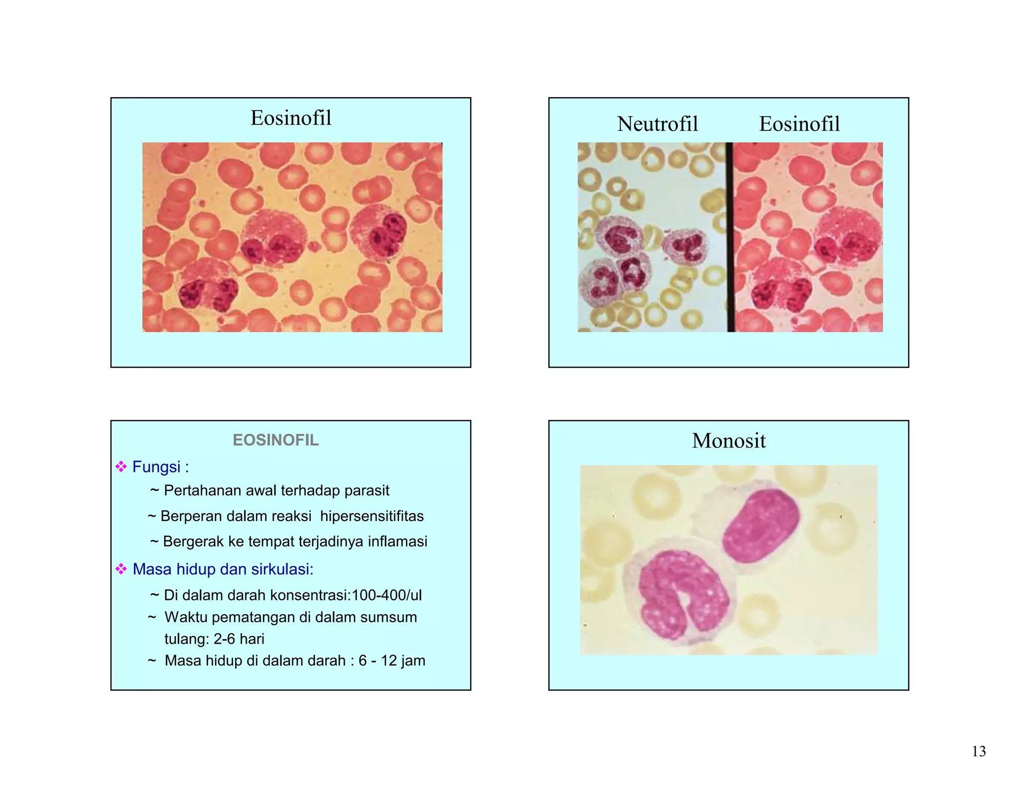 Hematologi | PDF