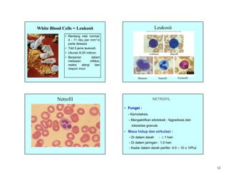 Hematologi | PDF