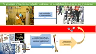 fisiopatologia de la sangre (anemiaS) | PPTX