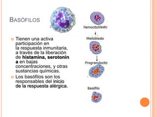 semiologia Hematologica | PPTX