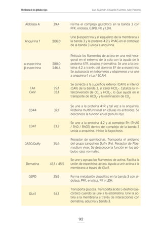 HEMATOLOGIA FISIOLOGIA Y FISIOPATOLOGIA.pdf