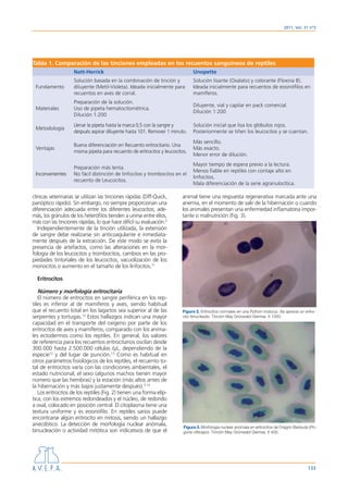 Hematologia reptiles | PDF