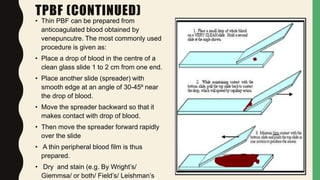 Hematological. exam | PPTX