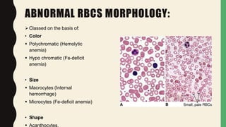 Hematological. exam | PPTX