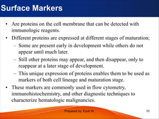 Lab. Hematological cell markers Lecture. | PDF