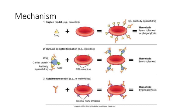 Hematological changes in systemic diseases | PPTX