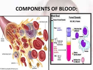 hematological disorder.pptx