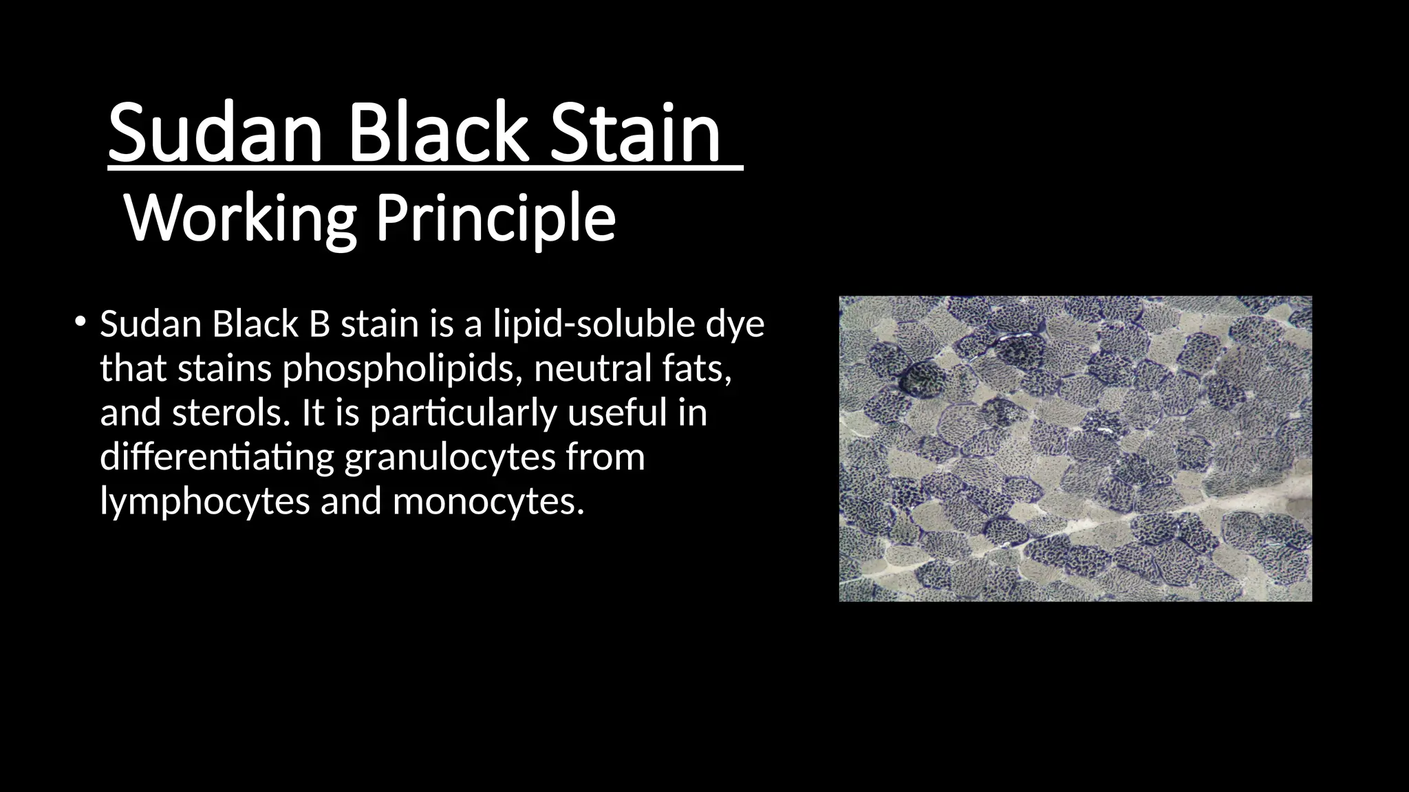 Hematological Staining techniques pathology | PPTX