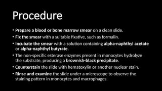 Hematological Staining techniques pathology | PPTX