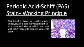 Hematological Staining techniques pathology | PPTX
