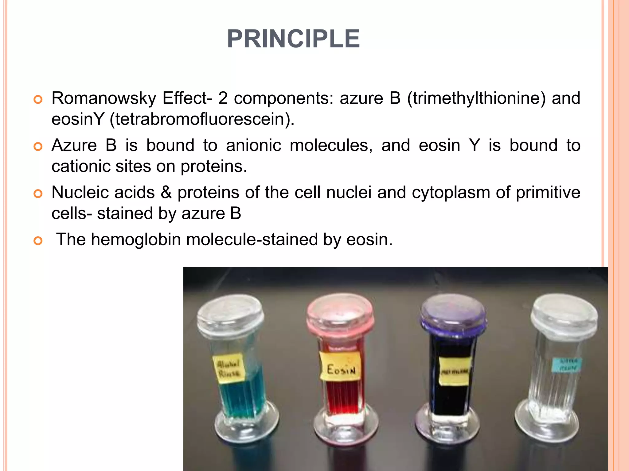 Hematological stains | PPTX