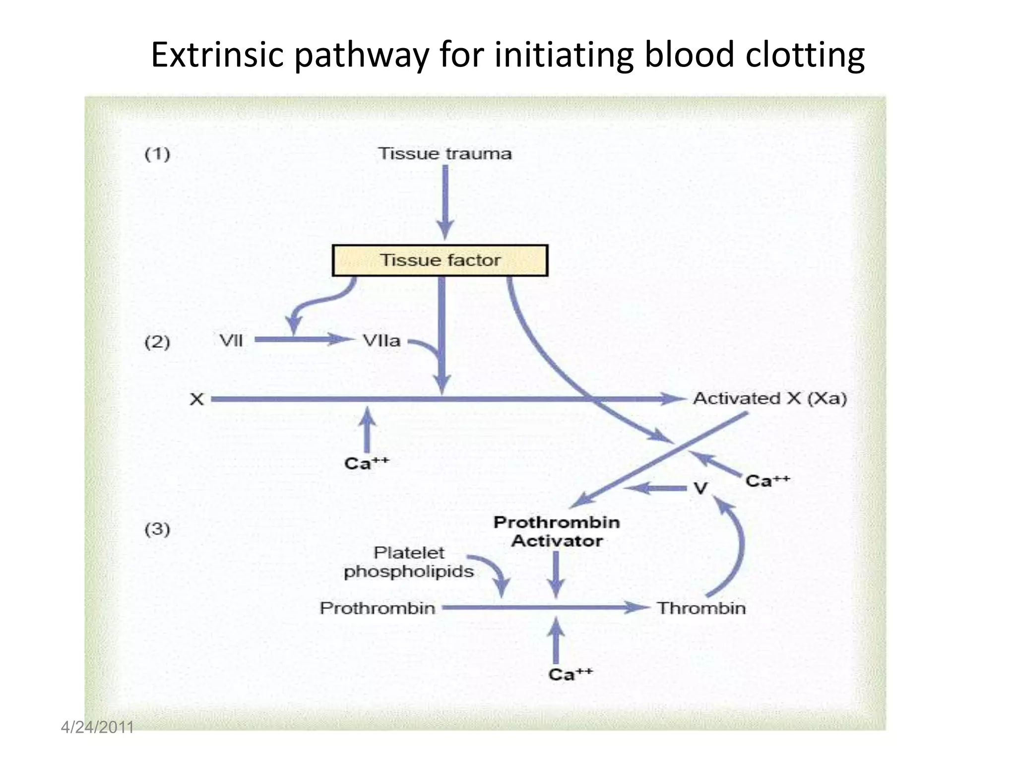 Hematologic changes of pregnancy | PPTX