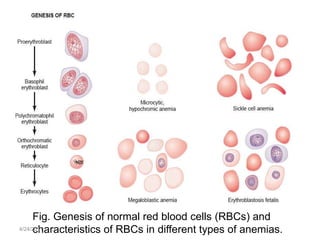 Hematologic changes of pregnancy | PPTX