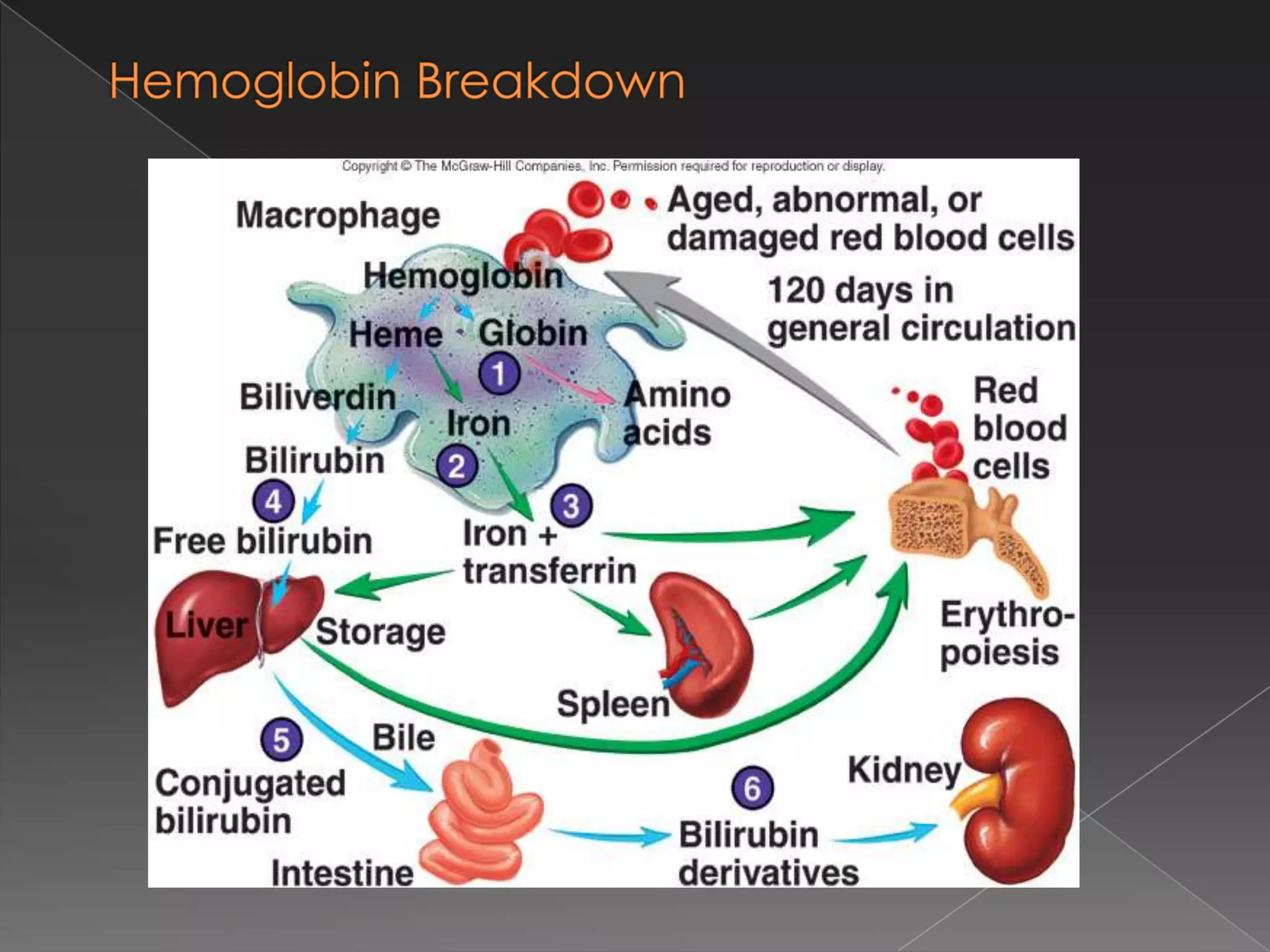 Hematologic disorders | PPTX