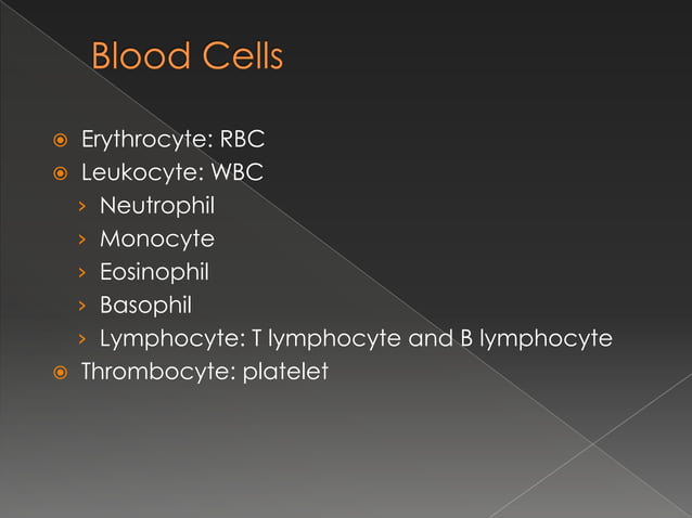 Hematologic disorders | PPTX | Blood Disorders | Diseases and Conditions