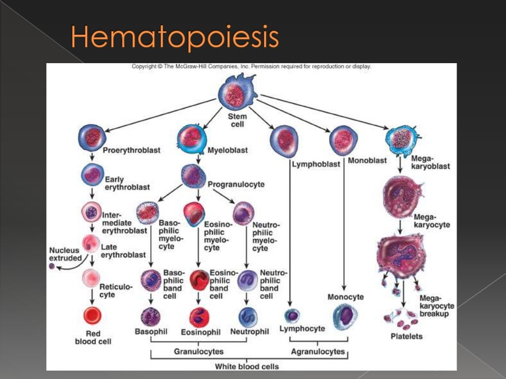 Hematologic disorders