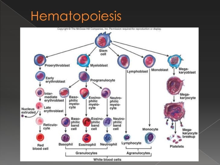 Hematologic disorders
