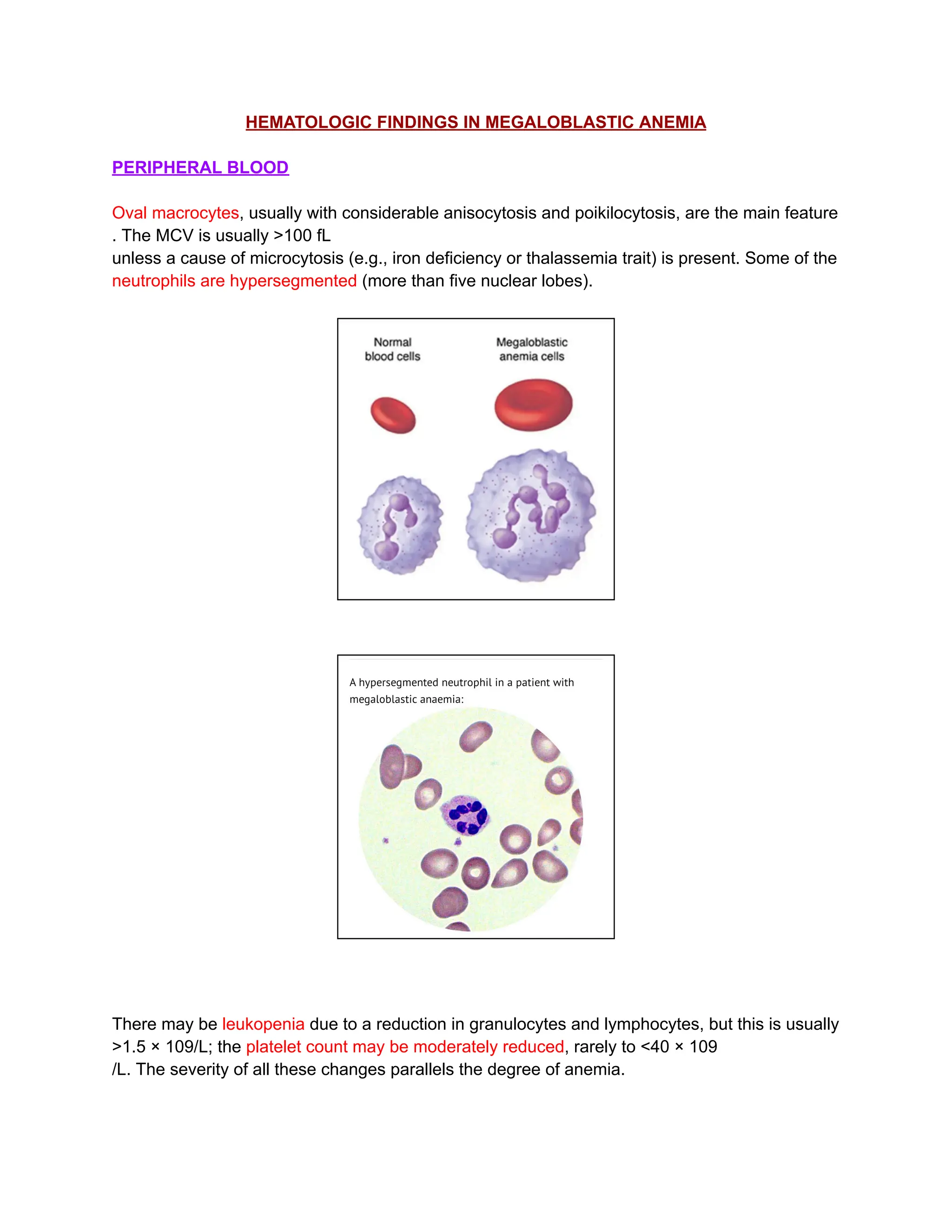 HEMATOLOGIC FINDINGS IN MEGALOBLASTIC ANEMIA.pdf