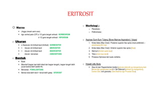 Hematologi & Hemostasis.pptx
