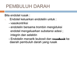 hemostasis dan komponen | PPT