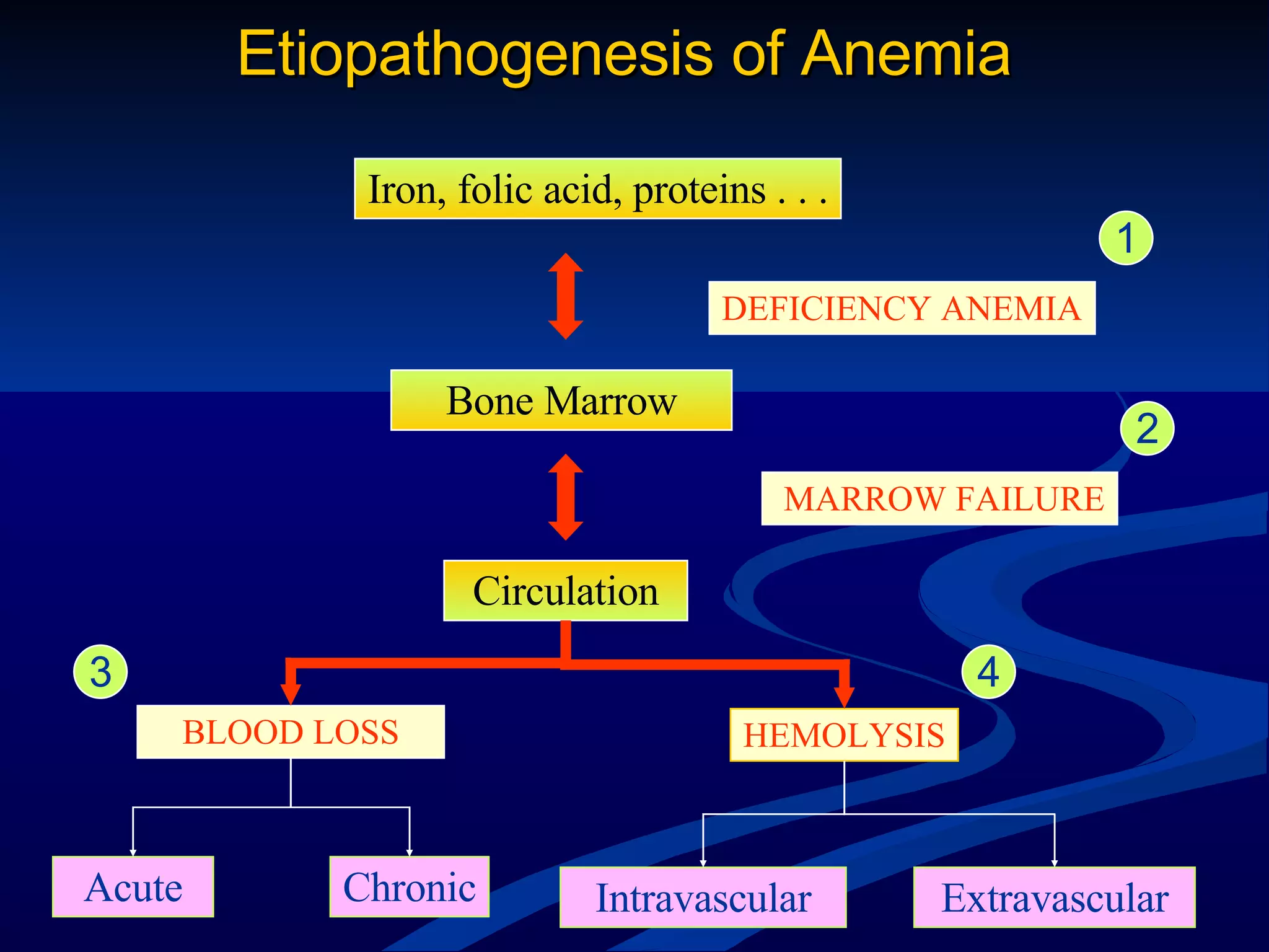 Hematology | PPT