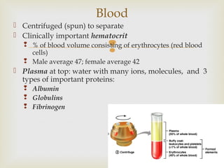 Hematology | PPT