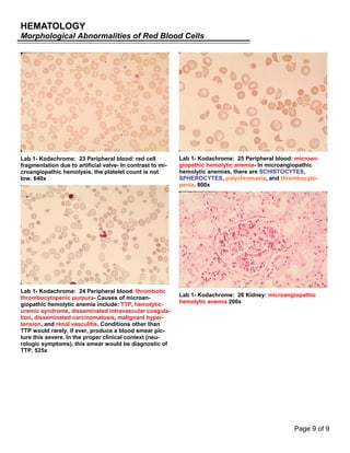 Hematology | PDF