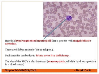 Hematology | PPTX