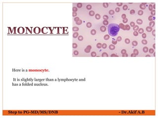 Hematology | PPTX