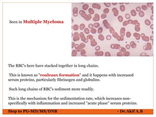 Hematology | PPTX