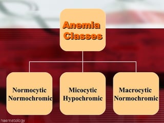 Hematology 2 | PPT | Blood Disorders | Diseases and Conditions