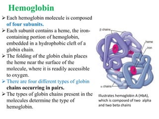 hematology .pptx