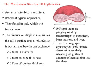 hematology .pptx