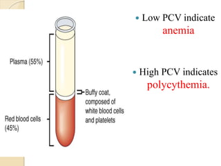 Hematology blood synthesis fe synthesis | PPT