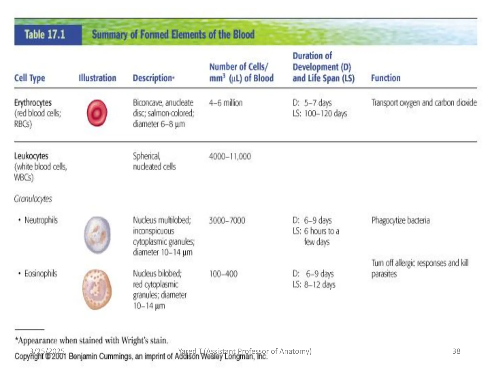 Hematology-Anatomy,,,,,,,,,,,,,,,,,,.pdf