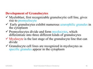 Hematology-Anatomy,,,,,,,,,,,,,,,,,,.pdf