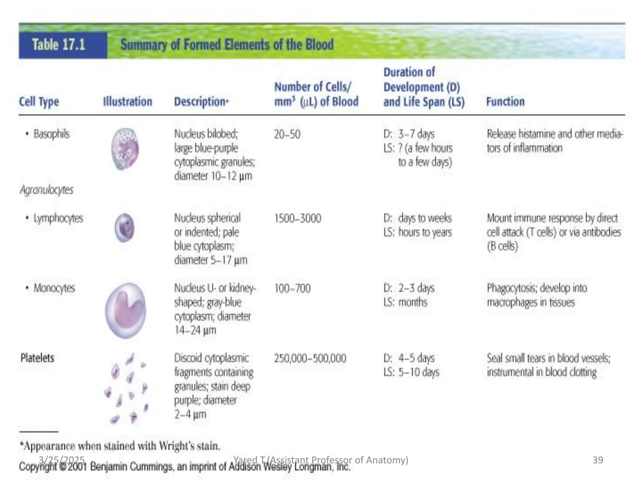 Hematology-Anatomy,,,,,,,,,,,.........pdf