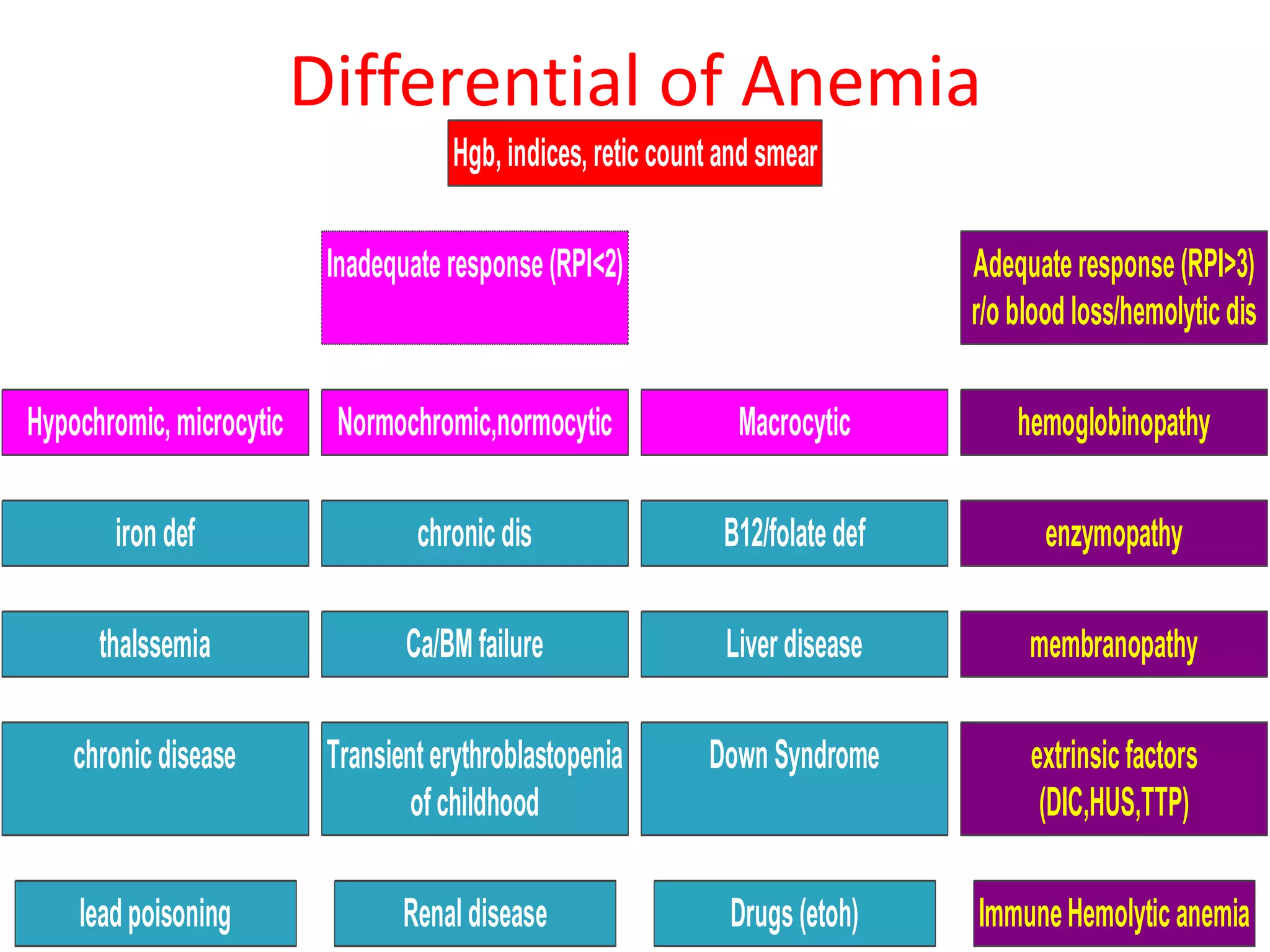 Iron deficiency anemia | PPTX