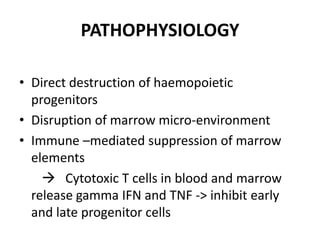 Aplastic anemia | PPTX | Blood Disorders | Diseases and Conditions