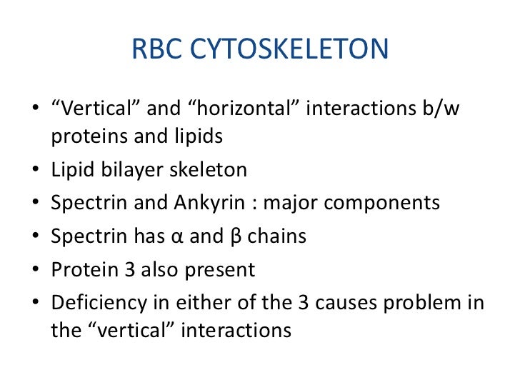Spherocytosis Causes