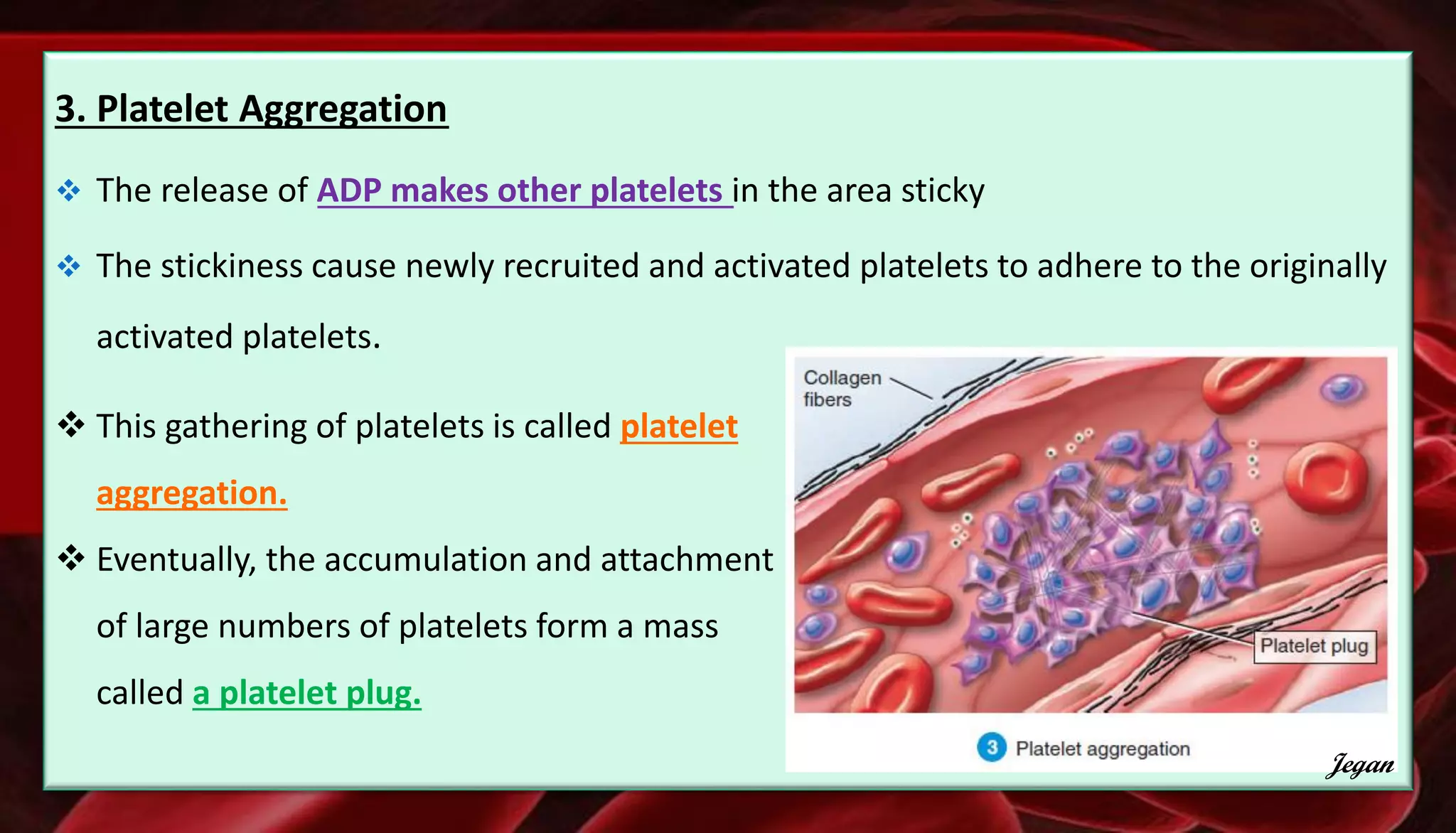 Hematology PART-II | PDF