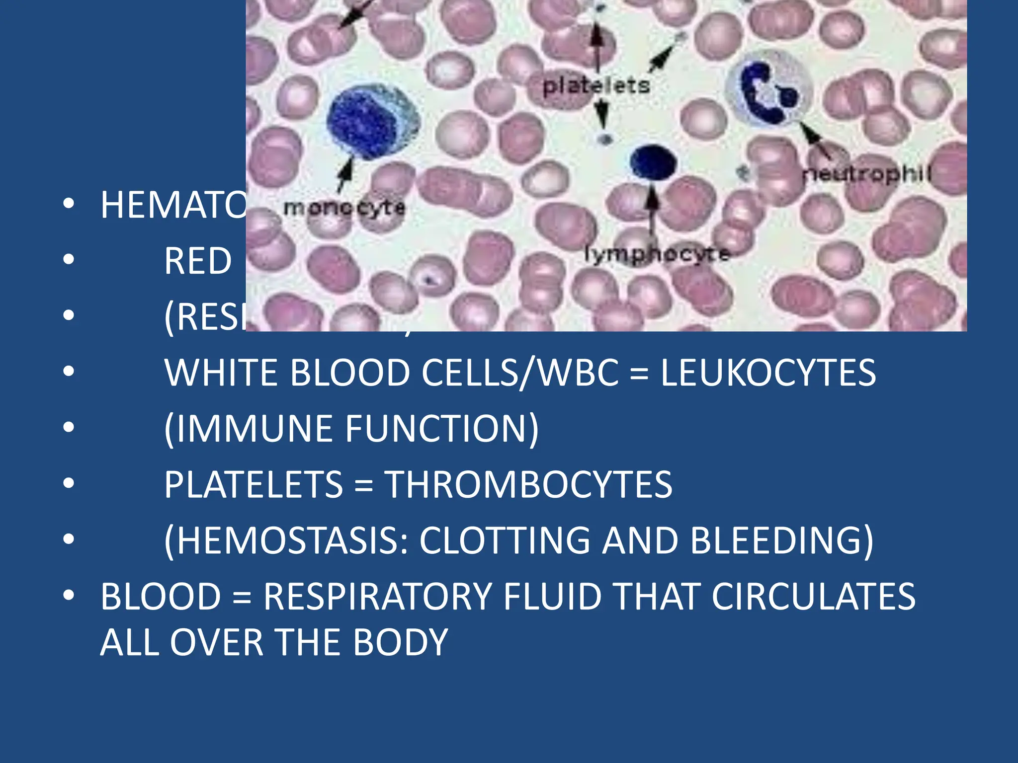 INTRODUCTION TO CLINICAL HEMATOLOGY powerpoint | PPTX