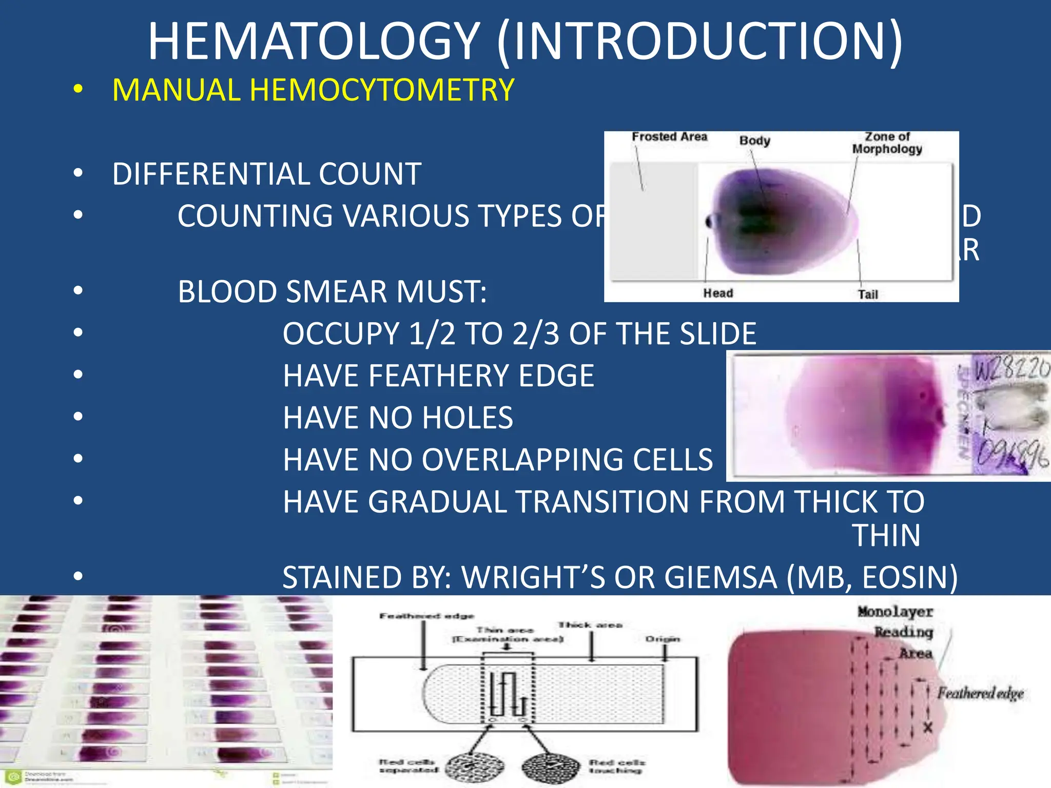 INTRODUCTION TO CLINICAL HEMATOLOGY powerpoint | PPTX
