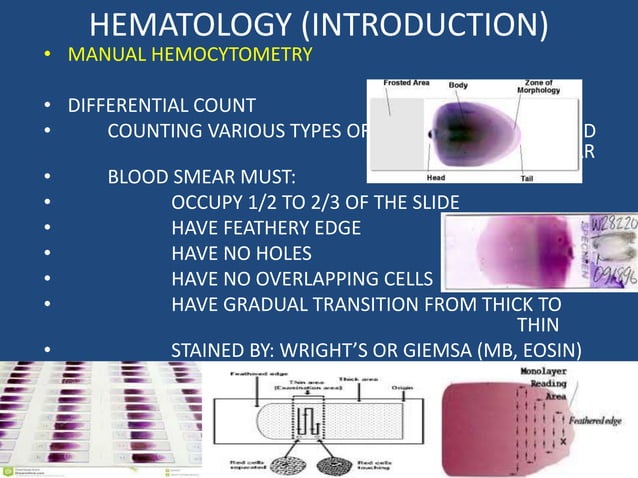 INTRODUCTION TO CLINICAL HEMATOLOGY powerpoint | PPTX
