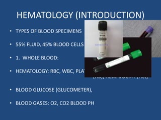 INTRODUCTION TO CLINICAL HEMATOLOGY powerpoint | PPTX
