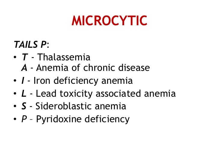 Introduction to Hematology and Anemia