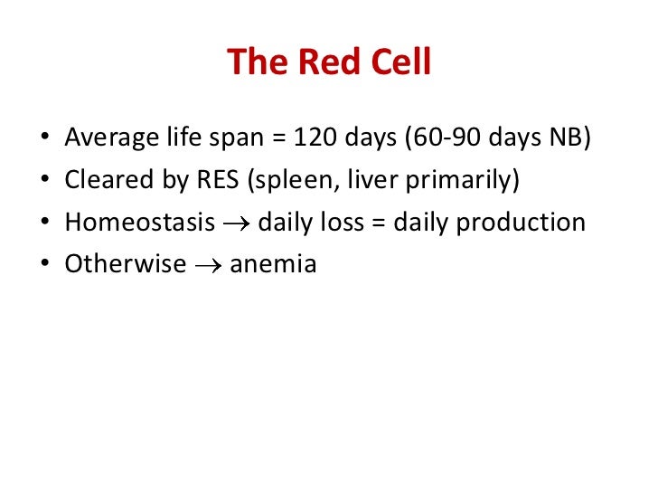 Introduction to Hematology and Anemia