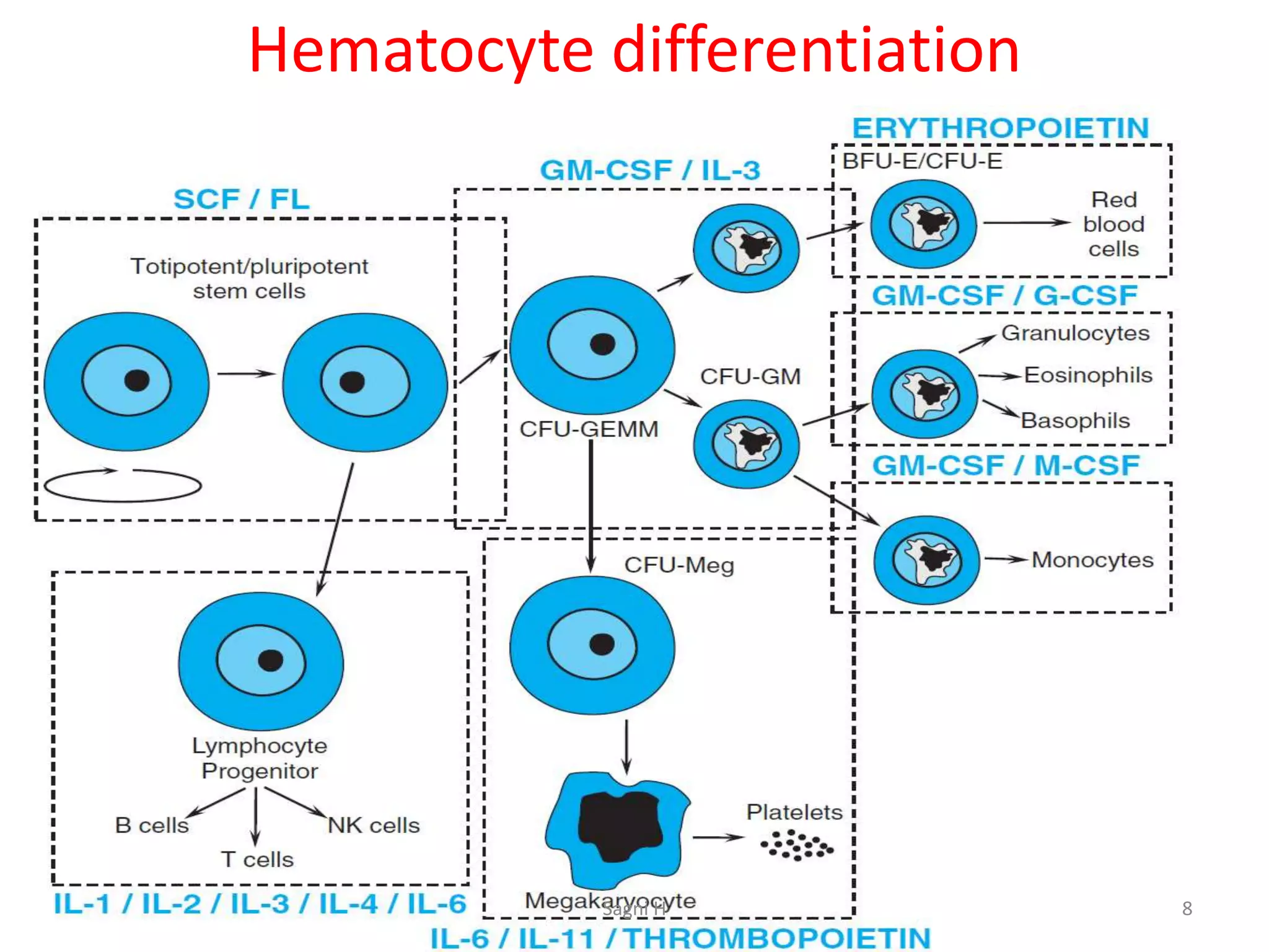 Hematology-pharmacology.pptx