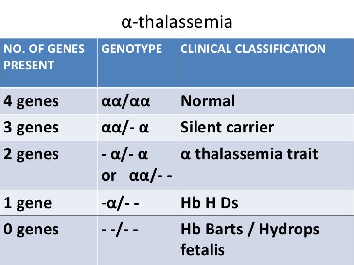 Thalassemia