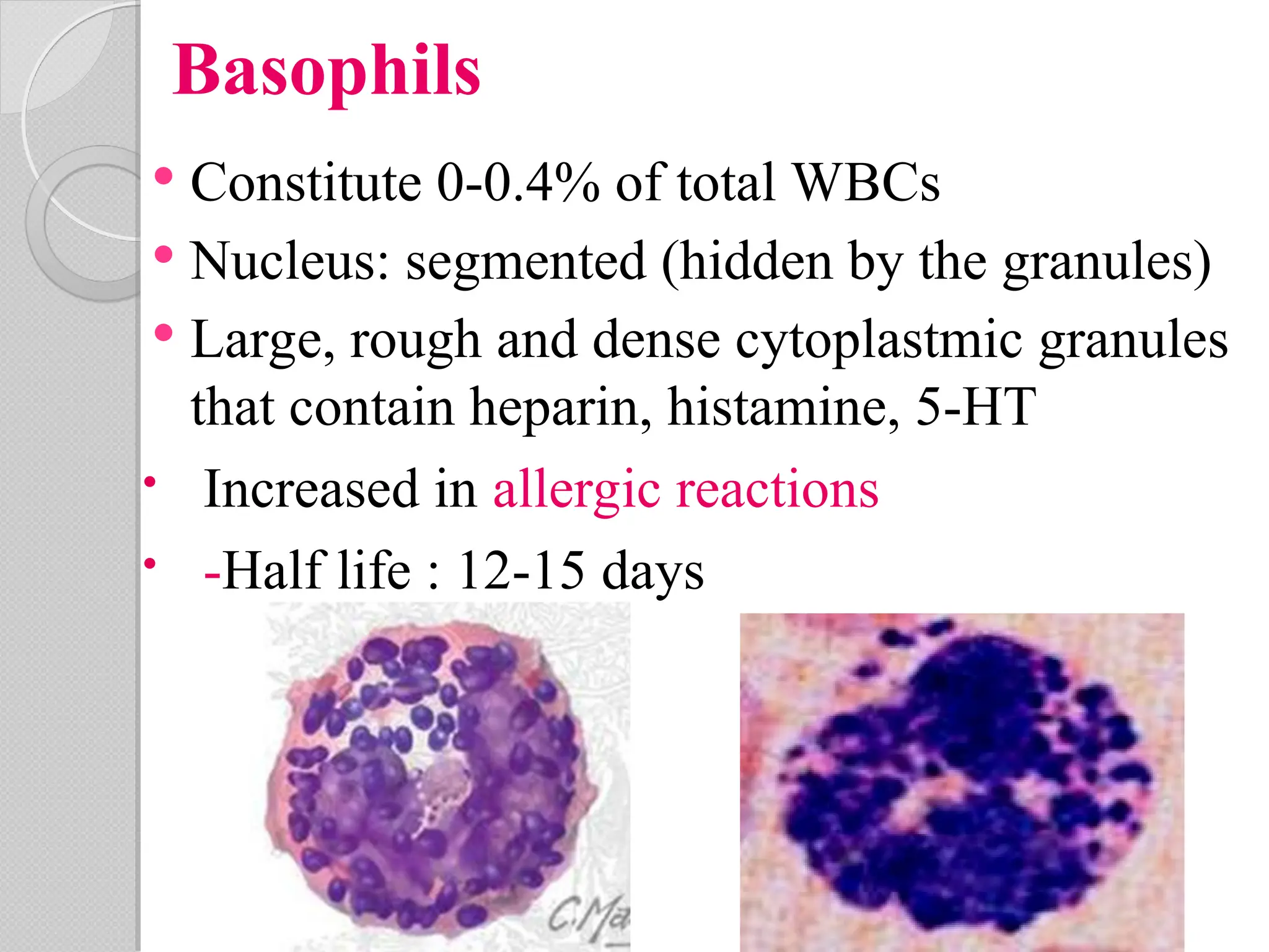Hematology -WBCs.ppt• Definitions and classifications of tumors (benign ...